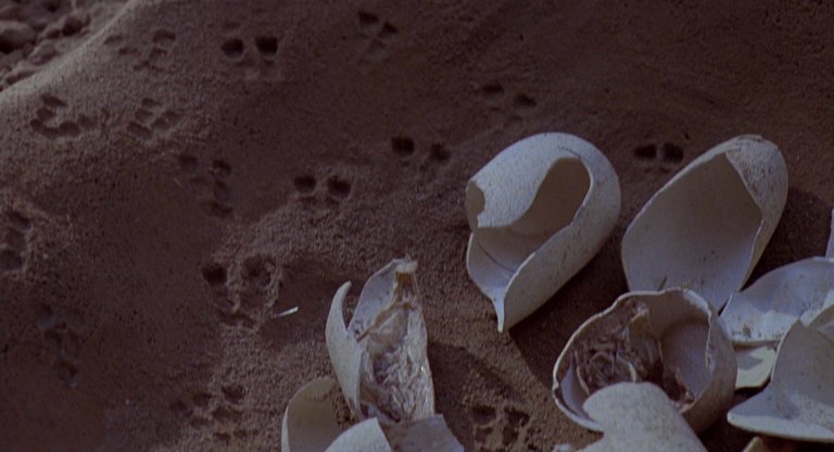 Canon Deep Dive: The Three Subspecies of Velociraptor in Jurassic World ...