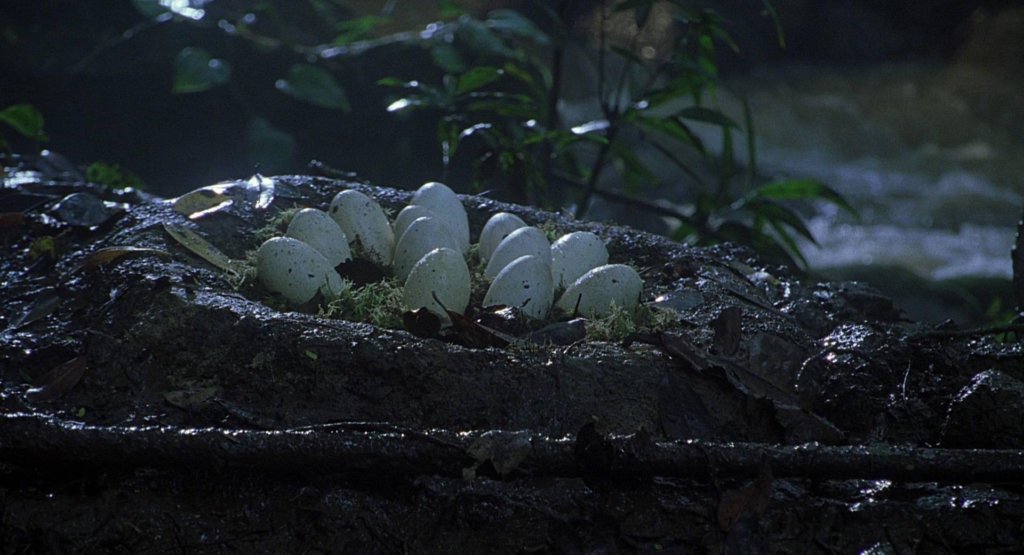 Canon Deep Dive: The Three Subspecies of Velociraptor in Jurassic World ...