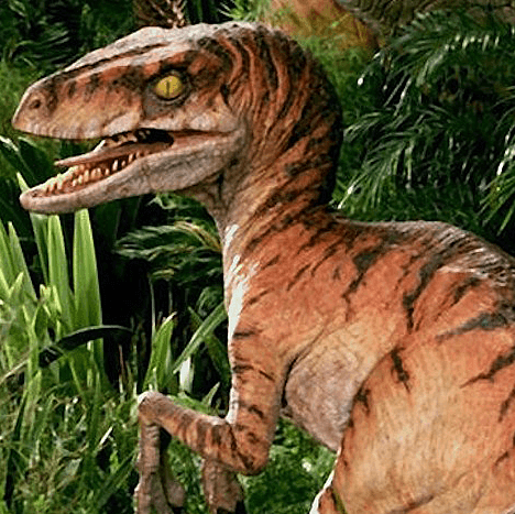 Canon Deep Dive: The Three Subspecies of Velociraptor in Jurassic World ...