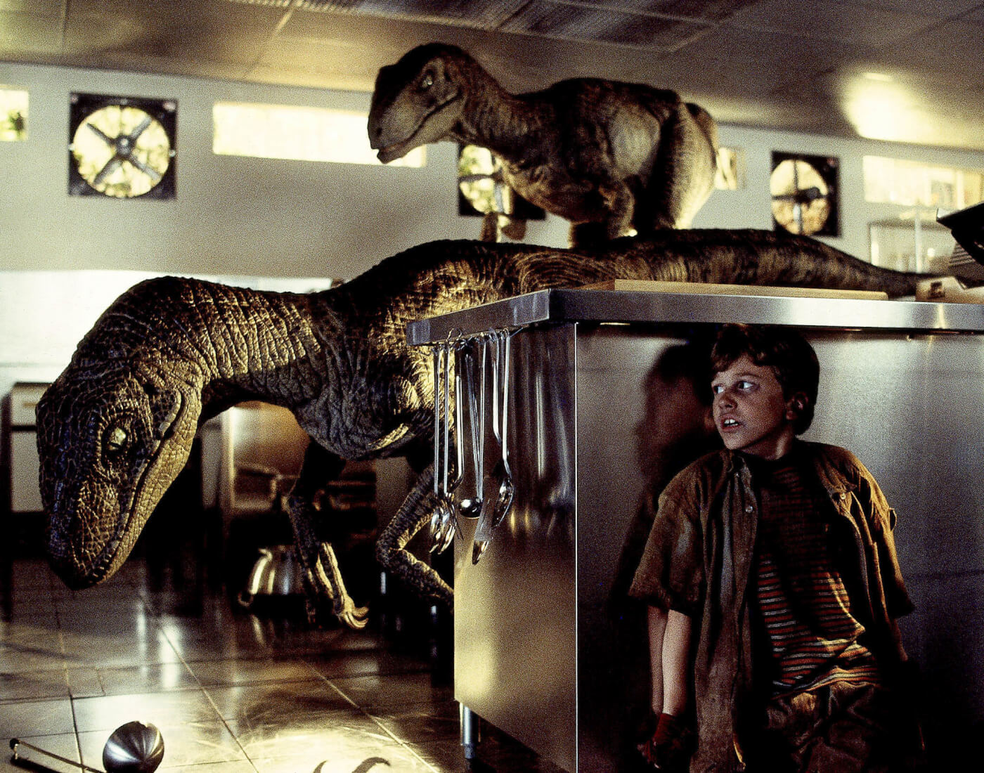 Transform Your Walls from Stark to Park with These Official Limited ...