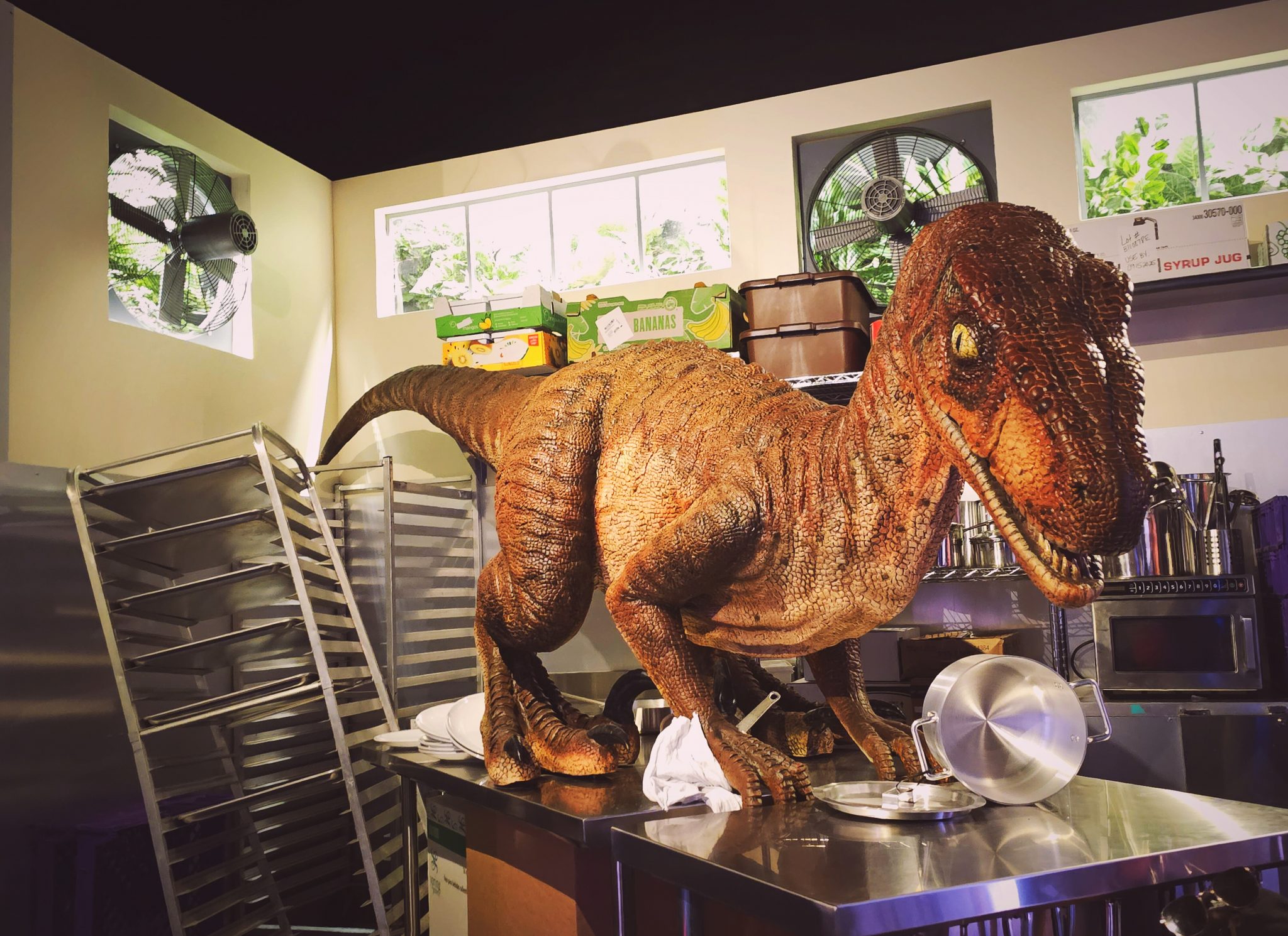 Exclusive Look & Review: Jurassic Park 30th Anniversary Tribute Store ...