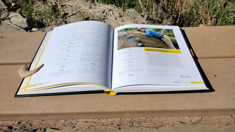 ‘Jurassic Park: The Official Script Book’ From Insight Editions Is ...
