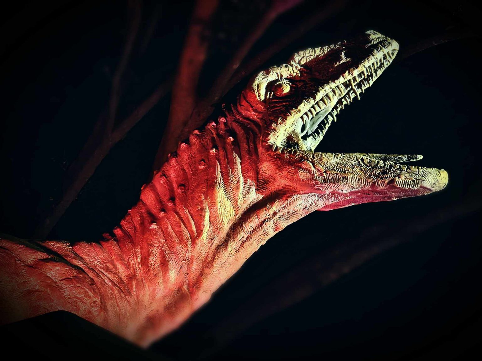 VelociCoaster Awarded “Best Rollercoaster” for Fourth Year in a Row ...